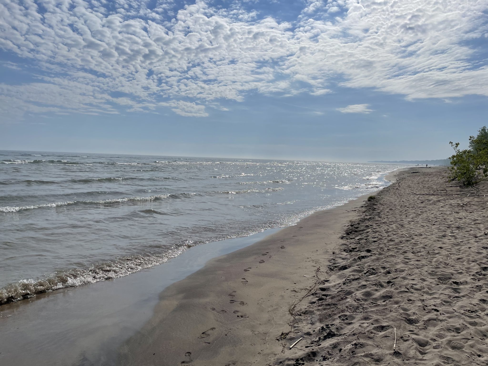 Spend the day at Long Point Provincial Park, Ontario - Fringinto