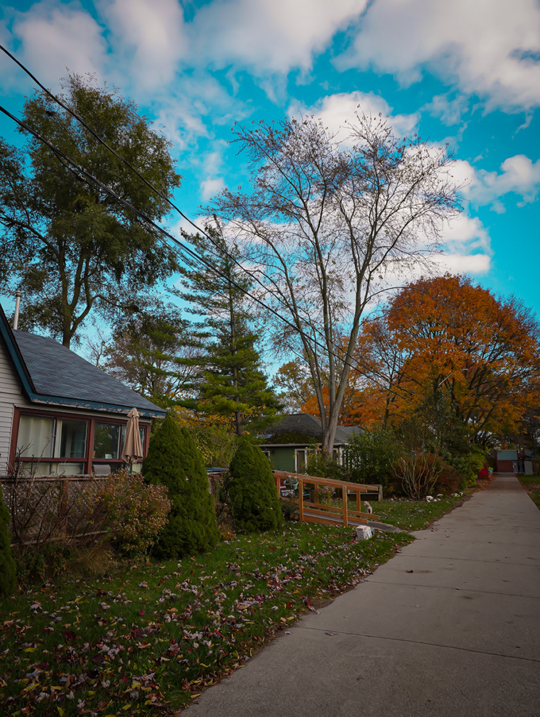 Top 18 things to do in Toronto in the fall - Fringinto