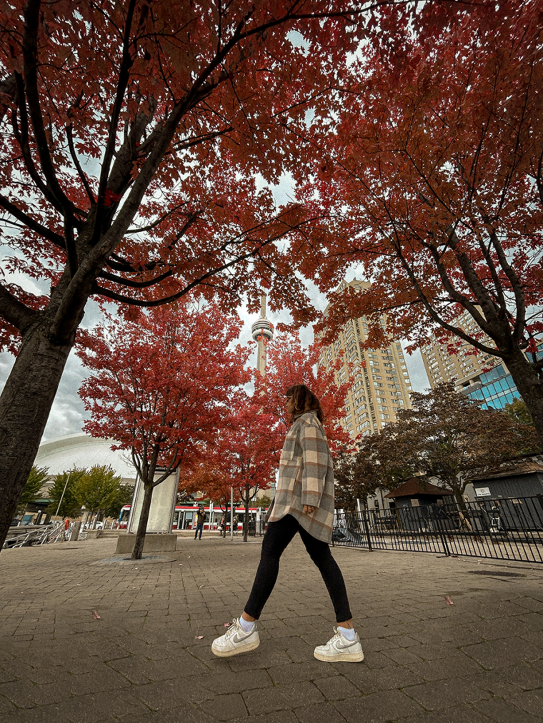Where to see fall colours in Toronto without a car ? - Fringinto